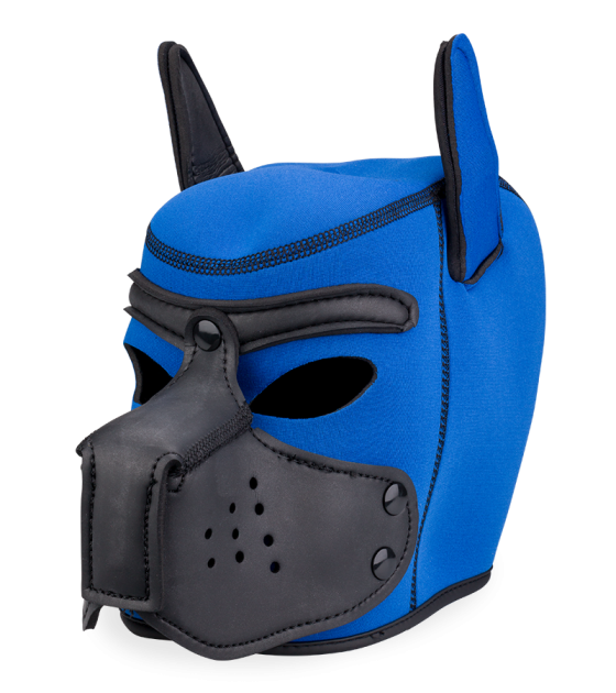 Cagoule de chien en néoprène tête colorée Puppy Play - LOVE AND VIBES